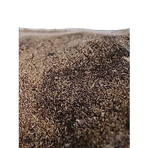 Josh's Frogs Bioactive Dart Frog Substrate Vivarium Bundle- Extra Large