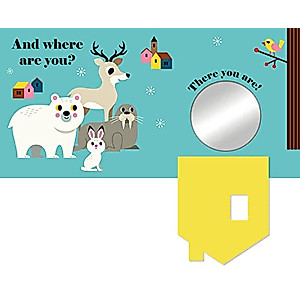 Where's the Polar Bear?