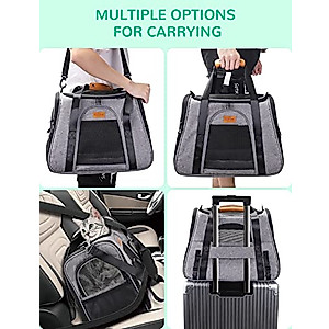 Cat Carrier, Pet Carrier Airline Approved, Dog Carrier Bag for Small Dogs and Cats, Foldable Pet Travel Carrier with Shoulder Strap, Soft Removable Mat and Pet Bowl
