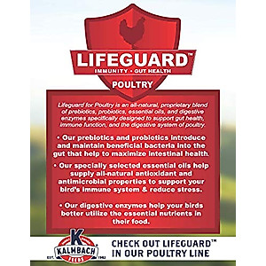 16% Flock Maintainer Pelleted Feed for Mixed Flocks of Poultry, 50 lb Bag