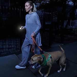 SABRE 2-in-1 Flashlight Design with Built-in Stun Gun, Powerful 1.76 µC Charge, 200 Lumen LED with 3 Modes; High, Low and Strobe, Rechargeable Battery, Hard Case and USB-C Charging Cord Included