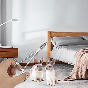 Dog Ear Hair Removal Tool, Dog Ear Plucking Tool Dog Ear Hair Remover Pets Ears Nose Hair Puller Stainless Steel Grooming Cleaning Clamp with Curved Tip Tweezers for Pet Cat Trimmer Accessories(small)