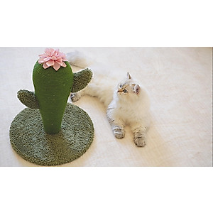 LIFLIX Cactus Cat Scratching Post, 17'' Cute and Fun Sisal Cat Scratcher for Indoor Cats and Kittens