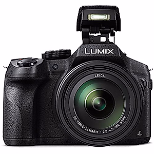 Panasonic Lumix DMC-FZ300 Digital Camera (DMC-FZ300K) - Bundle - with 64GB Memory Card + DMW-BLC12 Battery + Digital Flash + Soft Bag + 12" Flexible Tripod + Cleaning Set + 52mm UV Filter + More