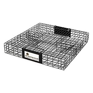 Rugged Ranch Squirrelinator 2 Door Small Metal Wire Pest Control Animal Cage Trap for Live Chipmunk, Squirrel, Rat, Mouse, and Rodent, Black
