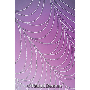 Sierra Club Engagement Calendar 2021