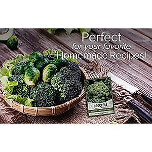 Broccoli Seeds for Planting is A Great Heirloom, Non-GMO Vegetable Variety- 1 Gram Seeds Great for Outdoor Spring, Winter, and Fall Gardening by Gardeners Basics
