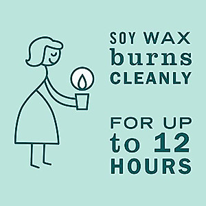 Mrs. Meyer's Scented Soy Tin Candle, 12 Hour Burn Time, Made with Soy Wax and Essential Oils, Mint, 2.9 oz