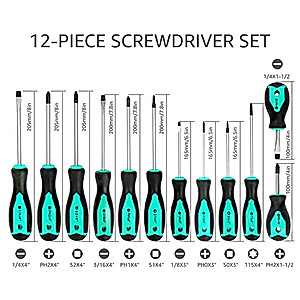 Amazon Basics 12-Piece Magnetic Screwdriver Set, Turquoise