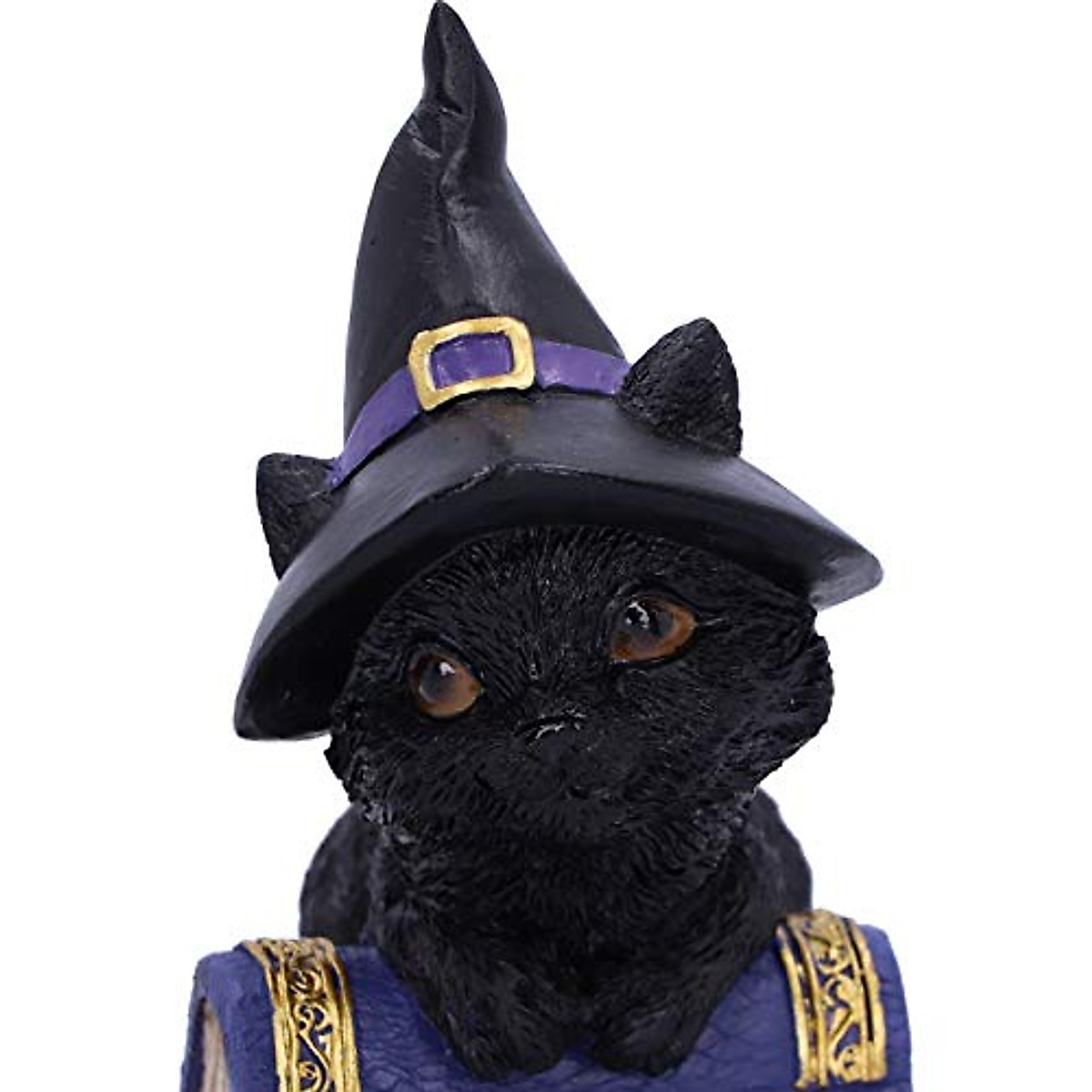 Nemesis Now Pocus Witch's Familiar Black Cat Figurine with Spellbook – Hand-Painted Resin Decoration for Witchcraft and Magic Lovers