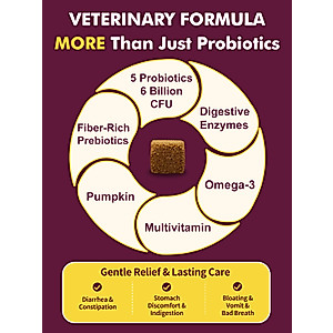 Probiotics for Dogs, Dog Probiotics for Digestive Health - Fiber Riched Prebiotic & Digestive Enzymes with Pumpkin, Omega-3, 6 Billion CFUs Support Gut & Immune Health, Diarrhea, 118 Soft Chews