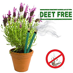 W4W, Mosquito Repellent Sticks Extra-Thick - Outdoor Use Reaches Up to 10-12 feet - Each Stick Burns for Hours - (Three Pack Contains 15 Repellents)