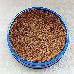 Maxmoral Nesting Pads 5PCS Pigeon Egg Nest Mat Breathable and Moisture-Proof Bird Nest Racing Pigeon Breeding Eggs Mat for Finch Chicken