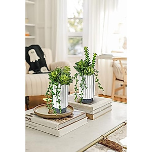 Hollyone Artificial Succulents Plants Set of 2 Faux Succulents 9" Fake Succulent Plants in Ceramic Pot Succulent Plant for Desk Modern Home Living Room Office Table Shelf Bathroom Decor