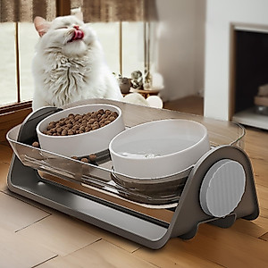 Oneluck Elevated Cat Bowl, Raised Ceramic Cat Dish,100% Waterproof Cat and Dog Bowls,15° Tilted Raised Stand Slip Resistant Raised Edges, Catch Water, Food Mess, No Spills,