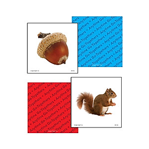 Super Duper Publications | Anytime Go-Togethers Photo Fun Deck Flash Cards | Educational Learning Resource for Children