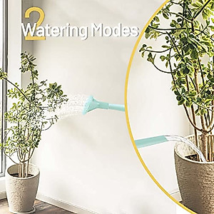 Watering Can for Indoor Plants, Small Watering Cans for House Plant Garden Flower, Long Spout Water Can for Outdoor Watering Plants 1.8L 60oz 1/2 Gallon