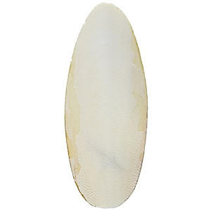 Prevue Pet Products Bpv11465 5-Inch Bird Cuttlebone Box, Medium, 5-Pound