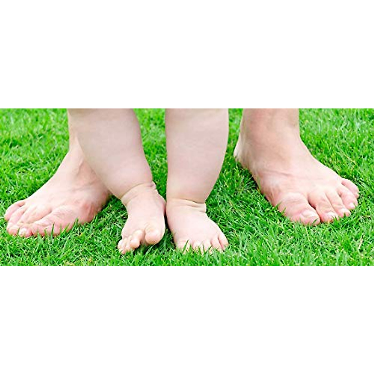 Water Storing Crystals Super Absorbent Hydro Gel Granules Polymer 1 Pound (Small Granular_20-100 mesh)