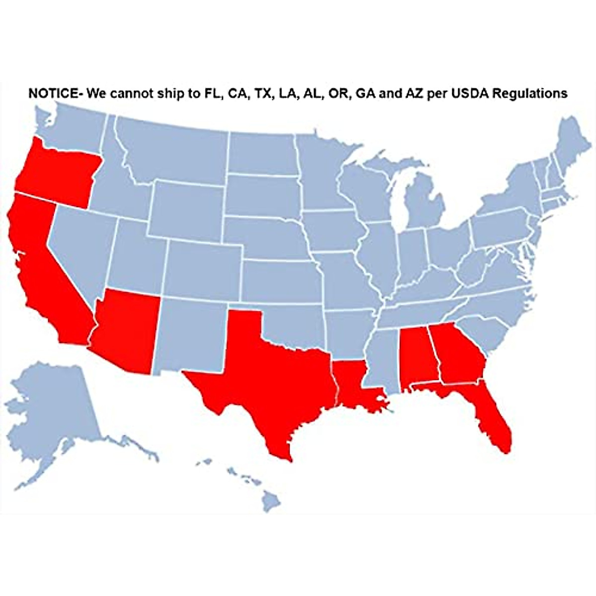 Brighter Blooms - Calamondin Orange Tree, 3-4 Ft. - Indoor/Outdoor Patio Citrus Trees, Ready to Give Fruit - Cannot Ship to FL, CA, TX, LA, OR, AL, and AZ