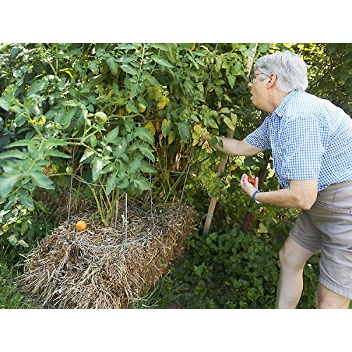 BaleBuster4 Starter Kit Includes Straw Bale Gardens Complete Book with Instructions for Step-by-Step Garden Set up.