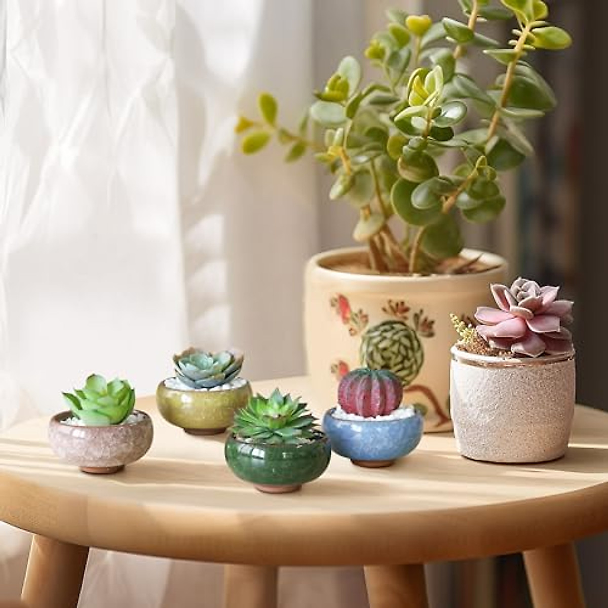 T4U 2.5 Inch Small Ceramic Succulent Planter Pot with Drainage Hole Set of 6, Ice Crack Glaze Porcelain Handicraft Plant Container Gift for Mom Sister Aunt Best for Home Office Desk Decoration