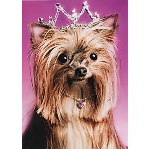 Yorkie Princess Dog Birthday Card