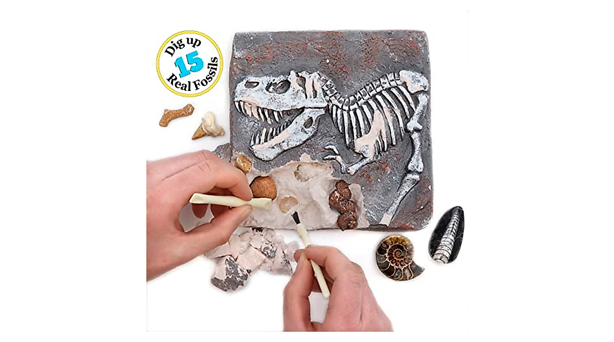 Dancing Bear Fossil Dig Kit for Kids | Excavate 15 Prehistoric Fossils