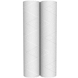 Pentair OMNIFilter RS12 Sediment Water Filter, 10-Inch, Standard Whole House String Wound Sediment Replacement Filter Cartridge, 10" x 2.5", 20 Micron, Pack of 2