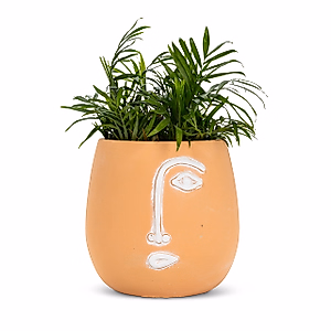 Abbott Collection 27-Picasso-LG Large Half Face Planter, 8" D, Orange