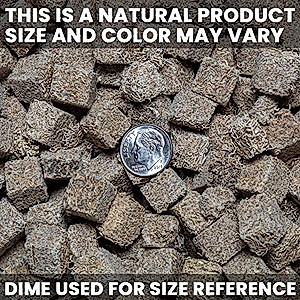 San Francisco Bay Brand Freeze-Dried Tubifex Worms 3.68-Ounces (104-Grams) Jar