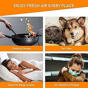 Skymechy Smart True HEPA Filter Replacement Compatible with WYZE Smart Air Cleaner Purifier 3-in-1 Pre-filter, True HEPA Filter, An Activated Carbon Filter (Smart True HEPA Filter)