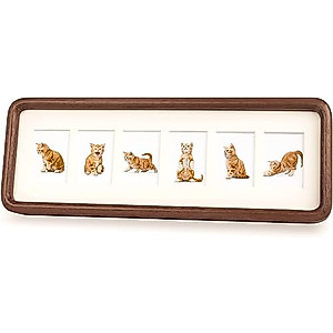 Solid Wood Collage Picture Frame Multi Openings Photo Frame 4x12 / 4x16 Matted to 1.5x2.5 for Wall and Tabletop Display (6 Opening Walnut)