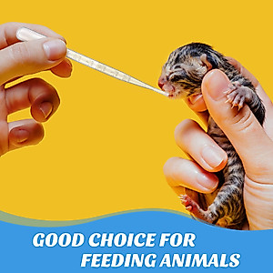 1000 Pcs Plastic Transfer Pipettes Disposable Graduated Pipettes for Scientific Experiment, Essential Oils, Make up Tool (3 ml)