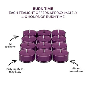 PartyLite After Dark™ Tealight Candles, Fragranced Colored Wax with Clear Container, 12 Pack Tea Lights, Made in The USA (After Dark™ Velvet Plum)
