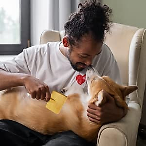 Woolbuddy Wool Carders Large, Hand Carders for Wool, 2 pcs Needle Felting Tools, Slicker Brush for Dogs, Spinning and Weaving, Carding Brushes for Needle Felting Wool