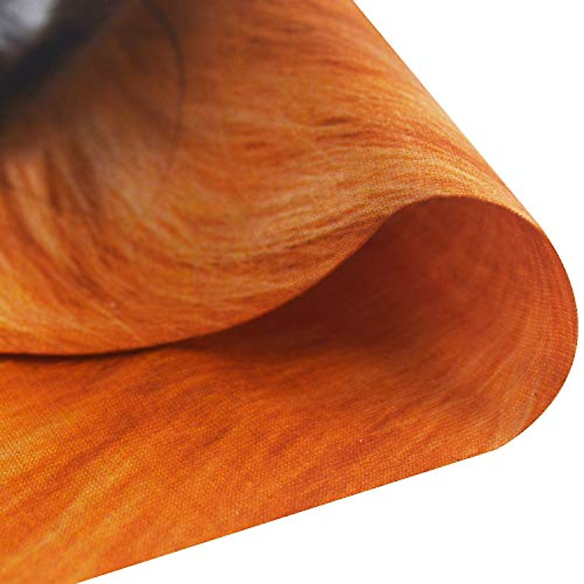 Obacle Animal Half Face Mask Sun Dust Wind Protection Seamless Face Mask for Men Women, Lightweight Thin Neck Gaiter for Outdoor Sports Gifts (Dog with Yellow Hairs)