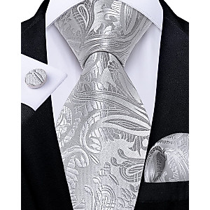 DiBanGu Silver Tie Paisley Ties for Men Tie and Pocket Square Set Tie Accessories for Men Jacquard Woven Silk Necktie