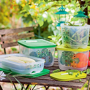 Tupperware Fridgesmart 4 Piece Food Storage Container Set, Dishwasher Safe and BPA Free (4 Containers, 4 Lids)
