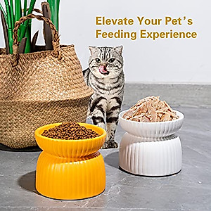 GOCESS Cat Food Bowls,Elevated-Cat Bowls for Food and Water,Ceramic Raised Cat Bowls for Indoor Cats and Small Dogs,Cat Dishes Set of 2,White