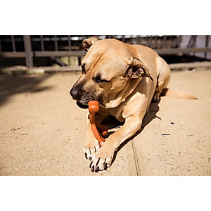 Peanut Butter & Bacon Flavored Dog Chew Toy for Aggressive Chewers - Tough Dog Bone - Heavy Duty and Durable Dog Toy - Nylon Bone Chew Toy for Medium Dogs and Large Dogs