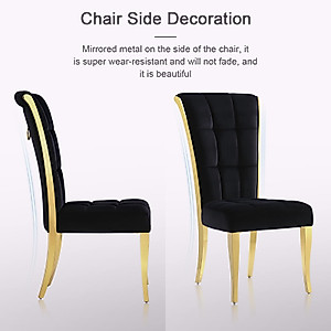 Asday Black Velvet Dining Chairs, Metal Back Ring Pull Trim and Golden Legs, Black and Gold Dining Chair for Dining Room, Apartment, Kitchen (Black, Set of 12)