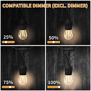 Hassoft S14 Outdoor String Lights - 28 LED Bulbs (3 spares), Outdoor Lights - 48.5 Ft, Patio Lights - Material Upgrade, Certified as Commercial Outdoor Lighting Products by ETL