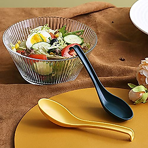 Evanda Soup Spoon, ECO Friendly Dinner Spoon,Made of Food Grade PP, BPA Free,Easy Clean,Dishwasher Safe Set of 12(Mix Color)