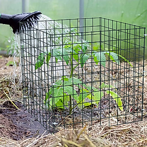 Small Wire Plant Protectors, 6 Pack Square Plant Protectors from Animals Mesh Plant Cage Chicken Wire Cover for Protect Plants, Garden,Shrubs and Vegetables from Animals(12x12 in)