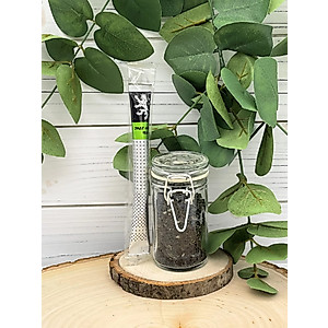 Jazz Green Tea – 100% Raw Jazz Green Tea | True Green Tea | Tea Sticks - No Artificial Flavors, Easy To Use, No Spoon Needed, Positively Charged Tea, Perfect Addition For Your Water Cooler At Work / 15 Sticks