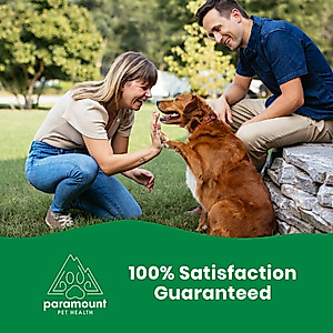 All-Natural Joint Pain Relief for Dogs - Vegetarian Glucosamine Without Shellfish - Msm Supplement for Pain - Vet Recommended Glucosamine Vegetarian - Arthritis Medicine & Glucosamine with Msm (32 oz)