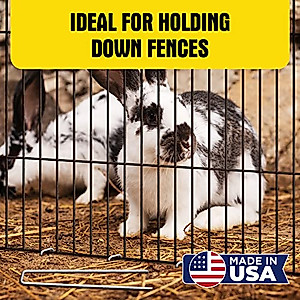 Homestead Choice 6 Inch Galvanized Landscape Staples - 100 Metal Garden Stakes for Gardening - 11 Gauge Anti-Rust Heavy-Duty Ground Sod Pins Yard Stakes for Weed Barrier Fabric Irrigation Tubing Hose