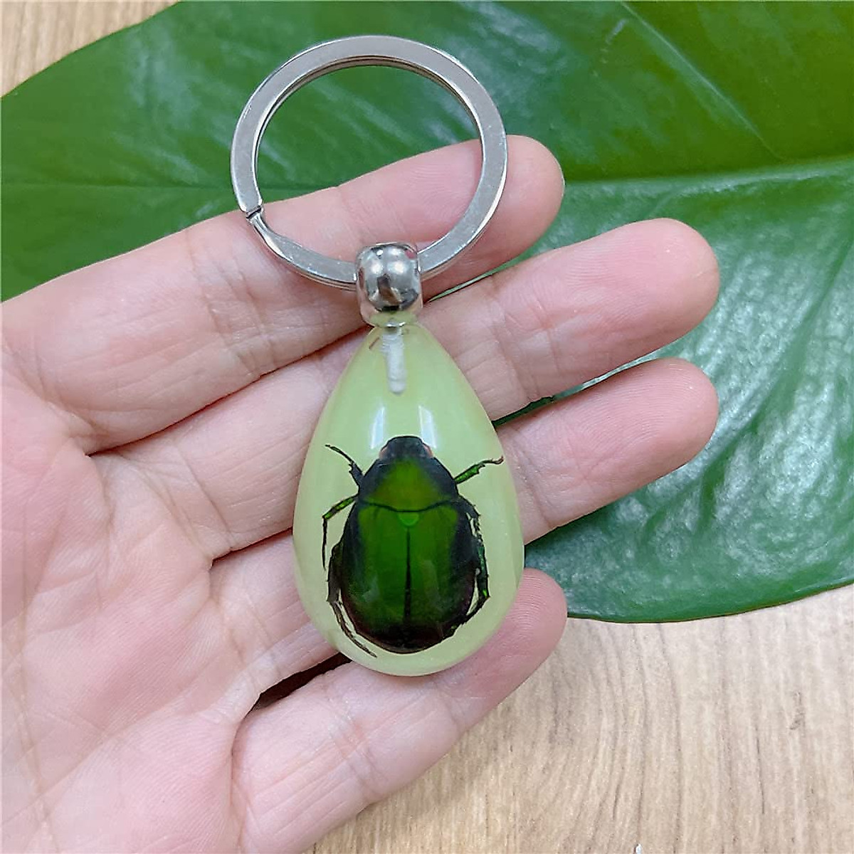 QTMY 6 Pack Insect in Resin Specimen Collection Luminous Glow in The Dark Keychain Keyring ,Halloween Christmas Science Classroon Decor Kits Set Education