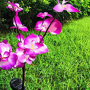 Asixxsix Solar Pathway Light, 2Pcs/Set Elegant LED Garden Light, Delicate for Wedding Festival Decor Outdoor Home Garden Courtyard Lawn Decoration